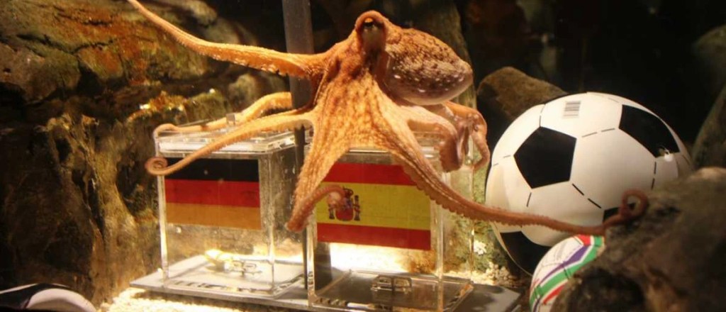 RIP Paul the Psychic Octopus | The Worley Gig