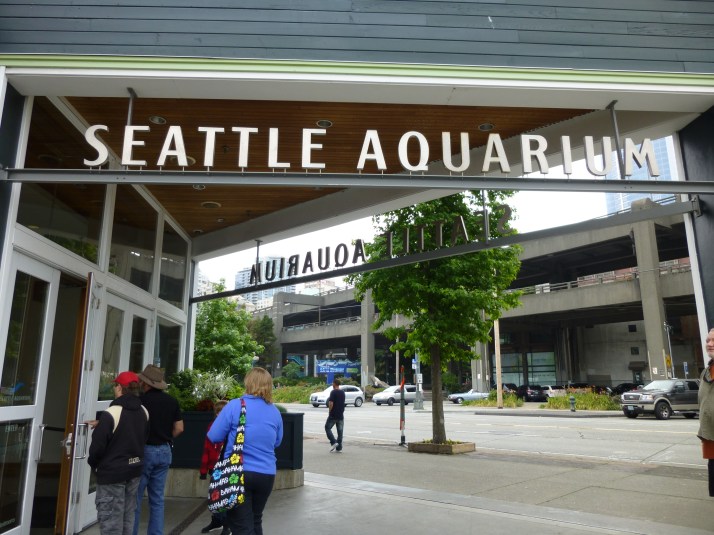 My Rad Visit to the Seattle Aquarium | WorleyGig.com