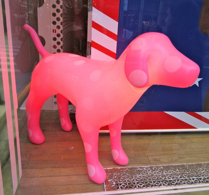 Pink Thing of The Day: Victoria’s Secret PINK Dog | WorleyGig.com