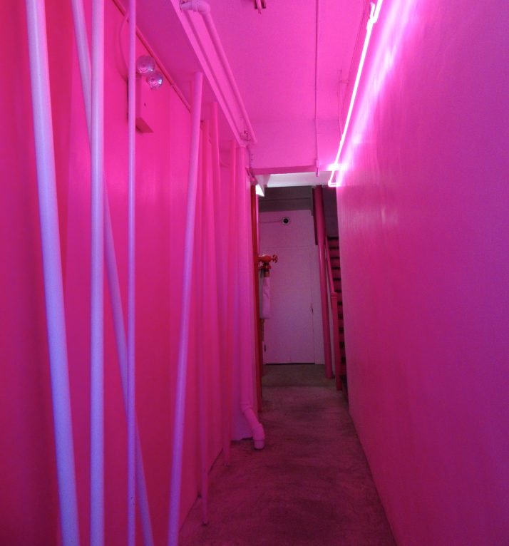 Pink Thing of The Day: Pink Corridor and Stairwell | The Worley Gig