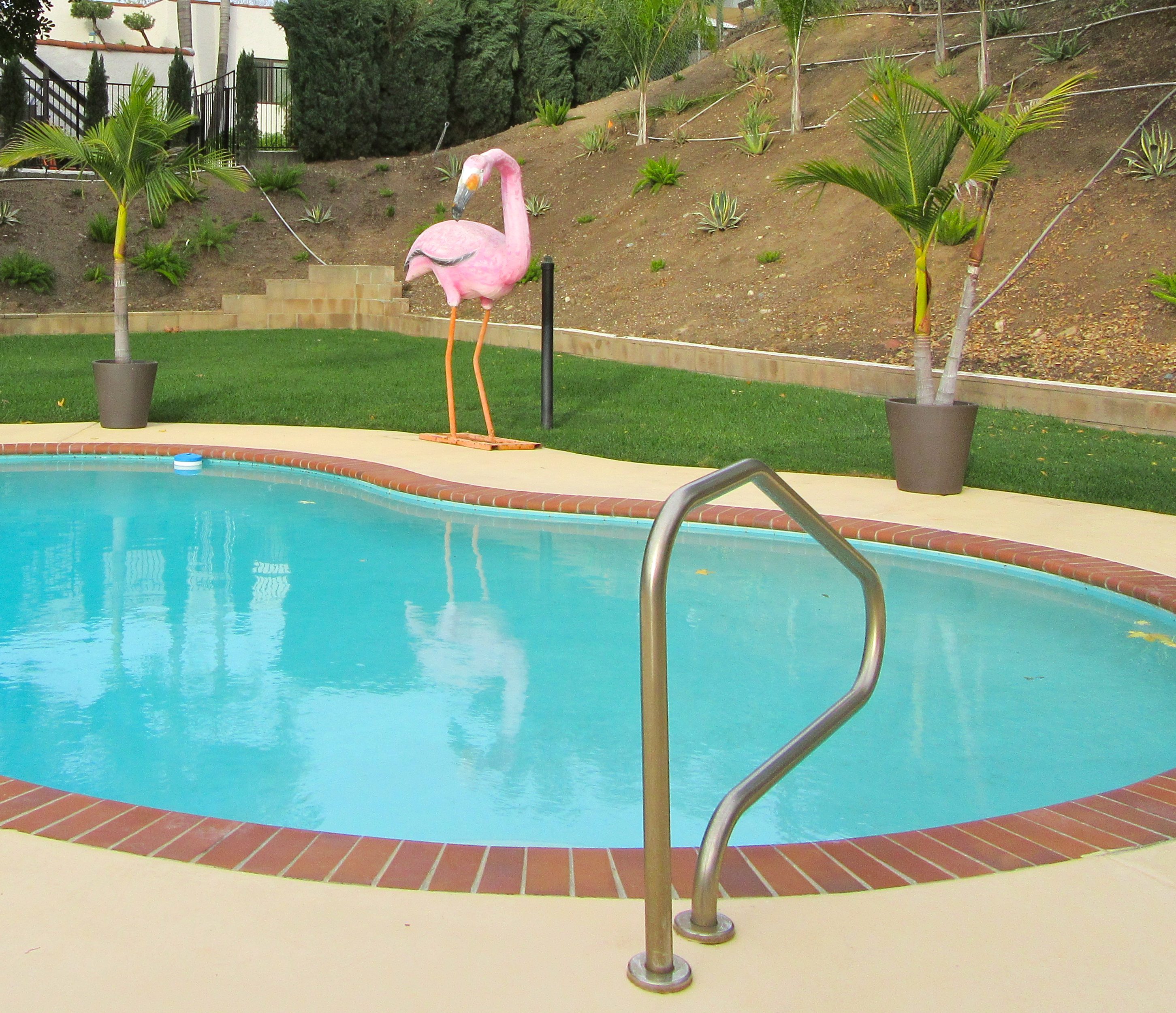 Pink Thing Of The Day: Pink Flamingo Pool Statue | The Worley Gig