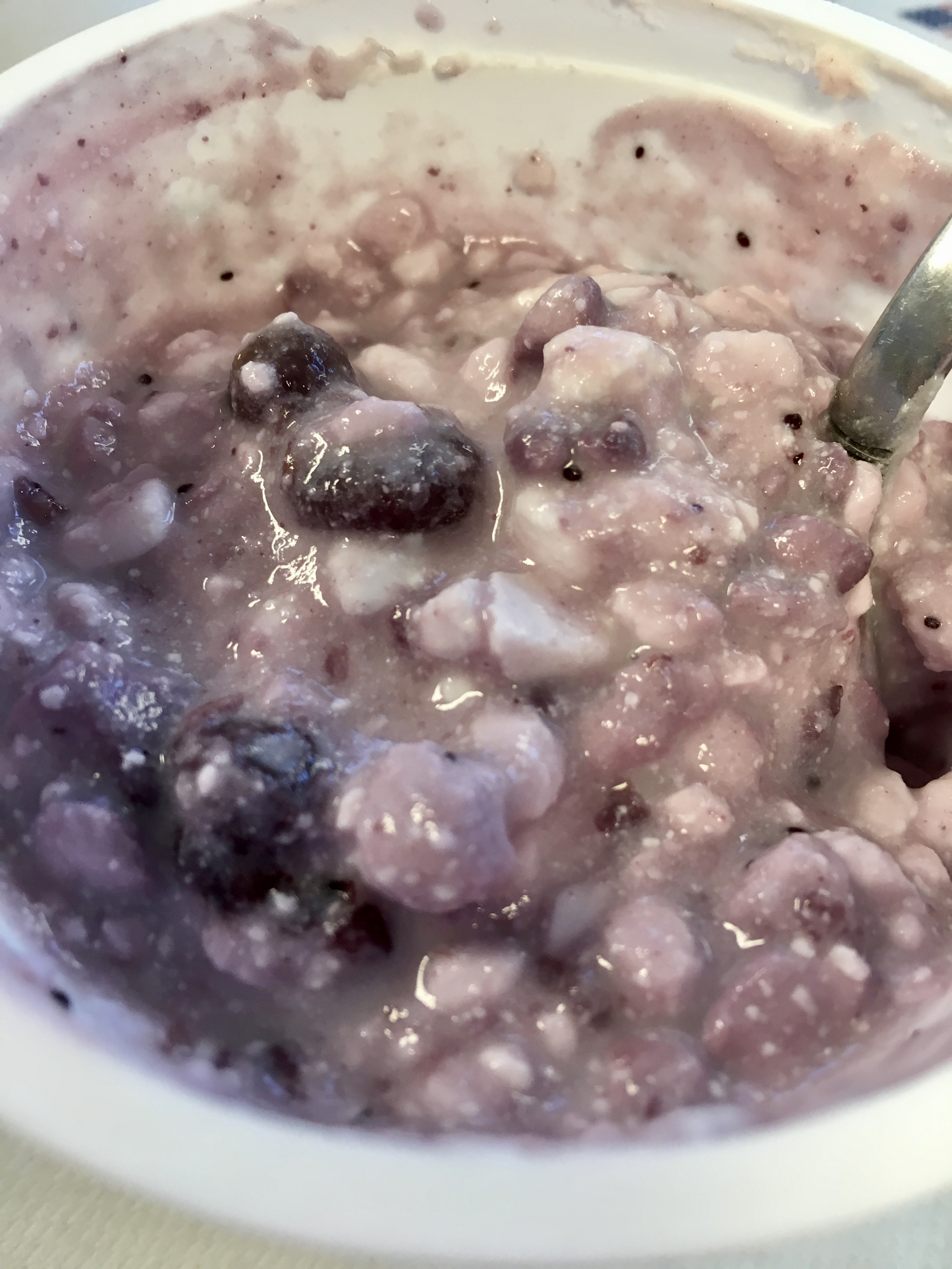 Product Review: Muuna Cottage Cheese | The Worley Gig