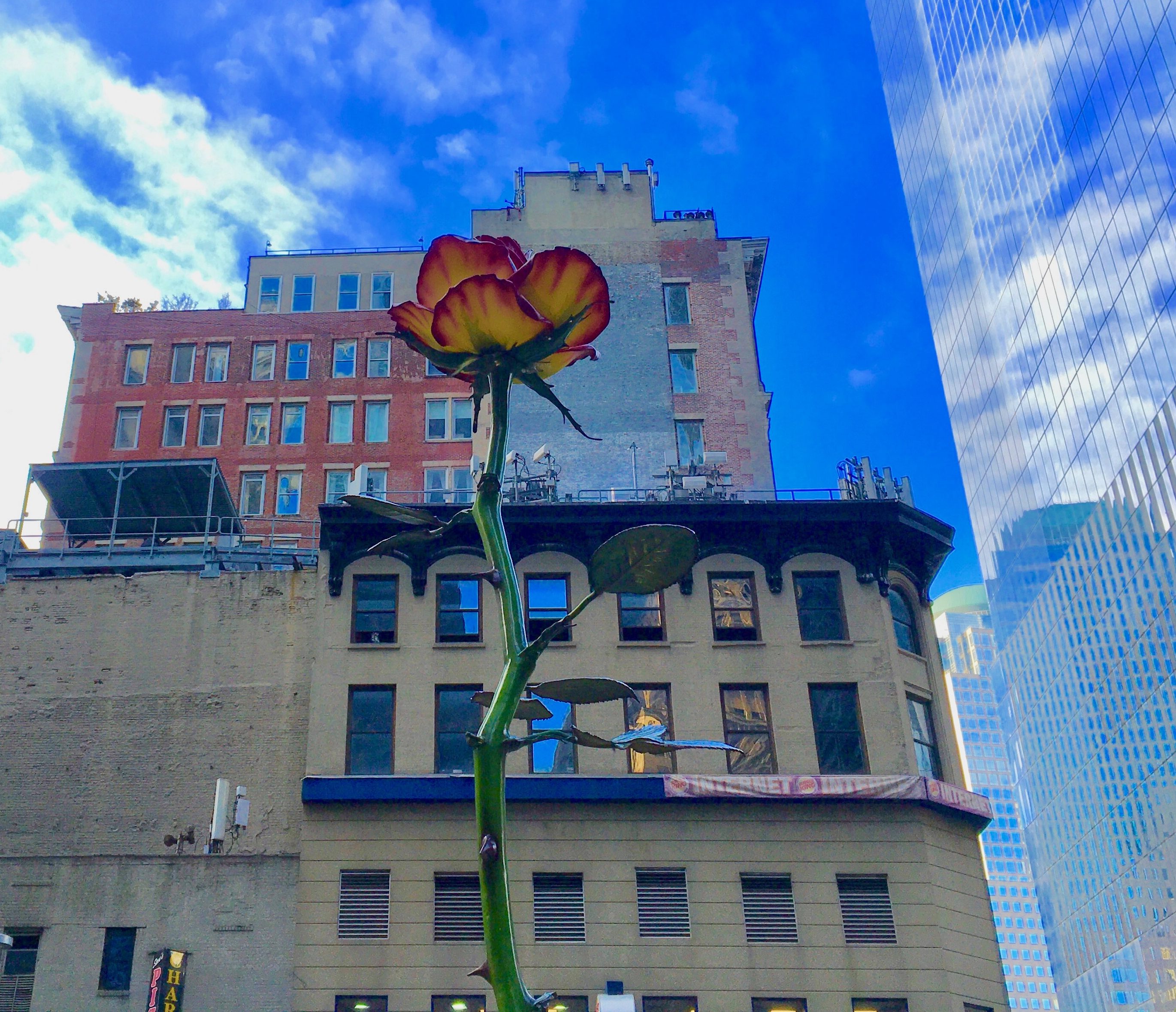 Rose III By Isa Genzken | The Worley Gig