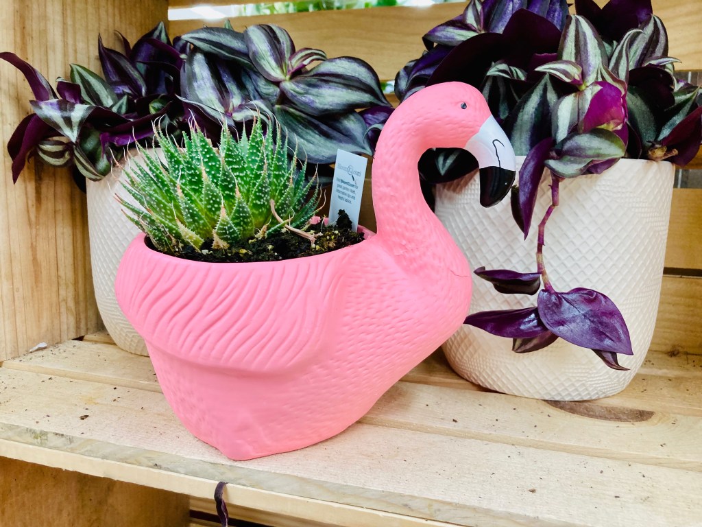 Pink Thing of The Day: Pink Flamingo Planter | The Worley Gig