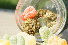 A Complete Guide to the Best Cannabis Products for Wellness | WorleyGig.com